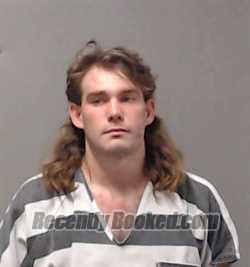Recent Booking / Mugshot for CHRISTOPHER SHANE SIMS in Franklin County ...
