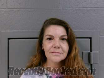 Recent Booking / Mugshot for Amy Nicole Johnson in Barbour County, West ...