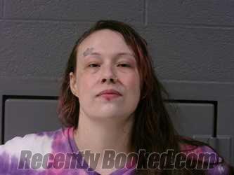 Recent Booking / Mugshot for Shelby Rae Bowman in Barbour County, West ...