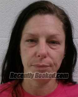 Recent Booking / Mugshot for Andrea Michelle Hebb in Berkeley County ...
