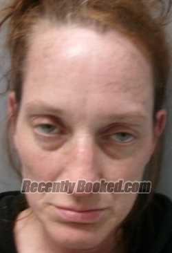 Recent Booking / Mugshot for Amanda Ruth Gorman in Berkeley County ...