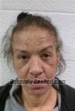 Recent Booking / Mugshot for Jennifer Lee Logan in Berkeley County ...