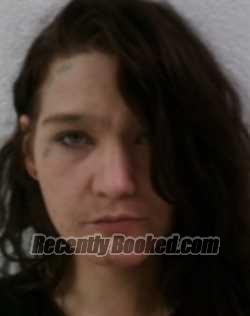 Recent Booking / Mugshot for Jessica Lynn Metz in Berkeley County, West ...