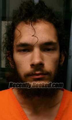 Recent Booking / Mugshot for Tyler Daniel Sigler in Berkeley County ...