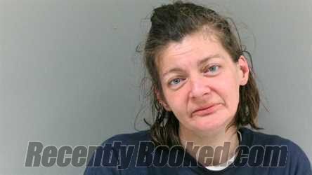 Recent Booking / Mugshot for April Lynn Holstein in Boone County, West ...