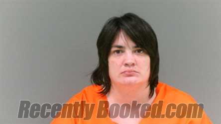 Recent Booking / Mugshot for Ashley Rose McNeely in Boone County, West ...