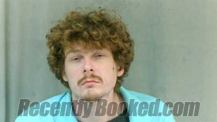 Recent Booking / Mugshot for Logan Todd Truman in Boone County, West ...