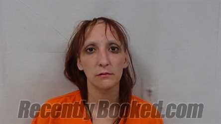 Recent Booking / Mugshot for Amanda Marie Murphy in Braxton County ...