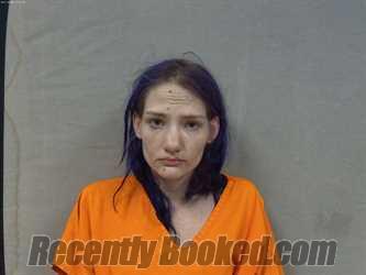 Recent Booking / Mugshot for Evelyn Ashley Johnson in Braxton County, West Virginia