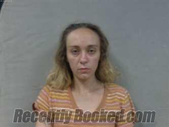 Recent Booking / Mugshot for Hailey Christina Barnett in Braxton County ...