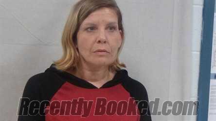 Recent Booking / Mugshot for Sarah Beth Stump in Braxton County, West ...