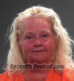 Recent Booking / Mugshot for Margaret Elizabeth Ferrari in Brooke ...