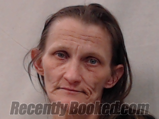 Recent Booking / Mugshot for Misty Irene Goodwin in Clay County, West ...