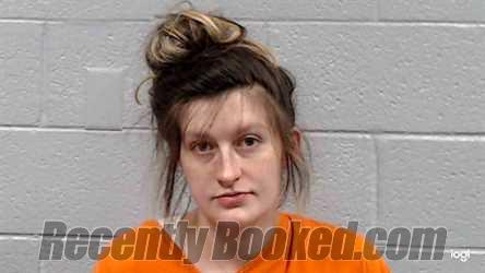 Recent Booking / Mugshot for Brittany Nichole Hall in Fayette County ...