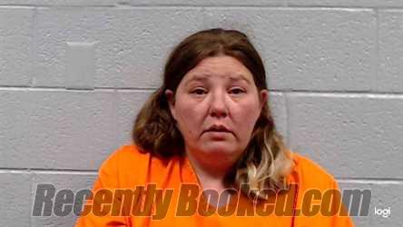 Recent Booking / Mugshot for Elizabeth Autumn Riser in Fayette County ...