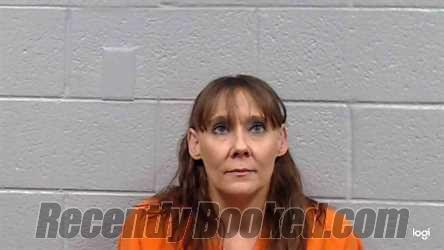 Recent Booking / Mugshot for Jennifer Lori Fankell in Fayette County ...
