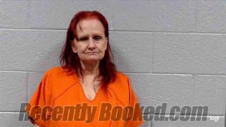 Recent Booking / Mugshot for Nancy Kim Miner in Fayette County, West ...