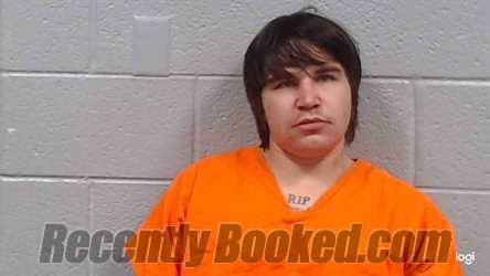 Recent Booking / Mugshot for Tyler Alexander Elmore in Fayette County ...