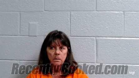 Recent Booking / Mugshot for Carolyn Ann Dolan in Greenbrier County ...