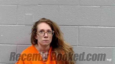 Recent Booking / Mugshot for Kaitlyn Marie Sheppard in Greenbrier ...