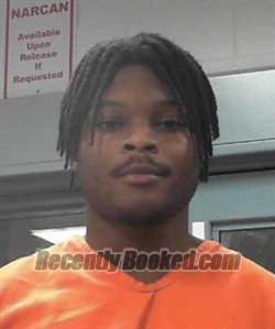 Recent Booking / Mugshot for Lawrence Papillon in Hampshire County ...