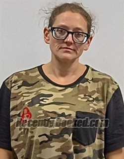 Recent Booking / Mugshot for Megan Jean Swisher in Hampshire County ...