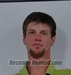 Recent Booking / Mugshot for Tyler William Wilson in Hardy County, West ...