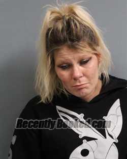 Recent Booking / Mugshot for Ashley Marie Brogan in Kanawha County ...
