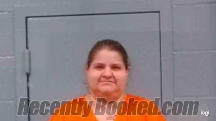 Recent Booking / Mugshot for Heather Dawn Jarrett in Kanawha County ...