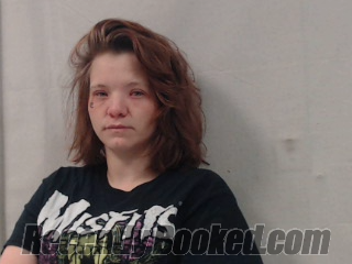 Recent Booking / Mugshot for Christina Michelle Haggerty in Lewis ...