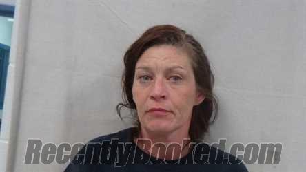Recent Booking / Mugshot for Michelle Lynn Farnsworth in Lewis County ...