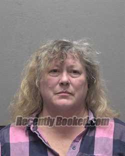 Recent Booking / Mugshot for NANCY LYNN HAYNES in Galveston County, Texas