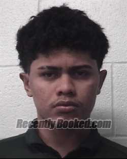 Recent Booking / Mugshot for MICHAEL DAVID ALVARADO CERRATO in ...