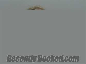 Recent Booking / Mugshot for KIMREE SUEANN ELLIS in Galveston County, Texas