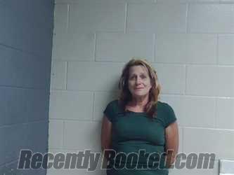 Recent Booking / Mugshot for SHARON FAYE WEINBERG in Galveston County ...