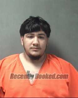 Recent Booking / Mugshot for SUNNY SKY LOZANO in Galveston County, Texas