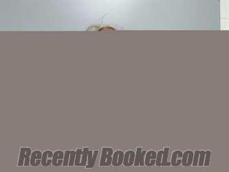 Recent Booking / Mugshot for TRENA JACQUETTA HILLIN in Galveston County ...