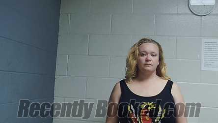 Recent Booking / Mugshot for AMBER RENEE HARRISON in Galveston County ...