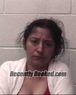 Recent Booking / Mugshot for KATHERINE LISSETH FLORES-DOMINGUEZ in ...