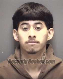 Recent Booking / Mugshot for LUIS FERNANDO BALTAZAR in Galveston County ...