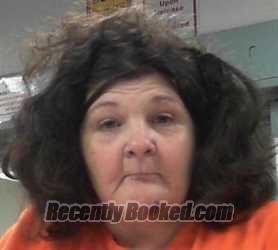 Melissa Dawn Fulks Mugshot & Arrest Info | Lincoln County, WV
