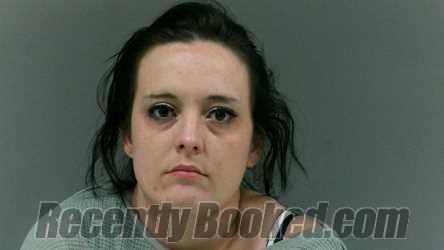 Recent Booking / Mugshot for Jessica Nichelle Dingess in Logan County ...