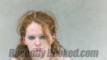 Recent Booking / Mugshot for Kayla Ann Wiley in Logan County, West Virginia