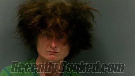 Recent Booking / Mugshot for Ricky Aaron Bailey in Logan County, West ...