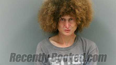 Recent Booking / Mugshot for Ricky Aaron Bailey in Logan County, West ...