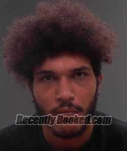 Recent Booking / Mugshot for Joshua Matthew Fox-Castagna in Marshall ...