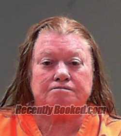 Recent Booking / Mugshot for Sheryl Lynn Henderson in Marshall County ...