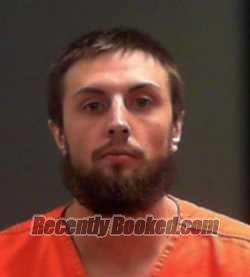 Recent Booking / Mugshot for Travis Eugene Helms in Marshall County ...