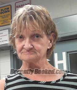 Recent Booking / Mugshot for Belinda June Watterson in Mason County ...
