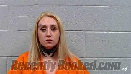 Recent Booking / Mugshot for Brianna Hall in Mercer County, West Virginia